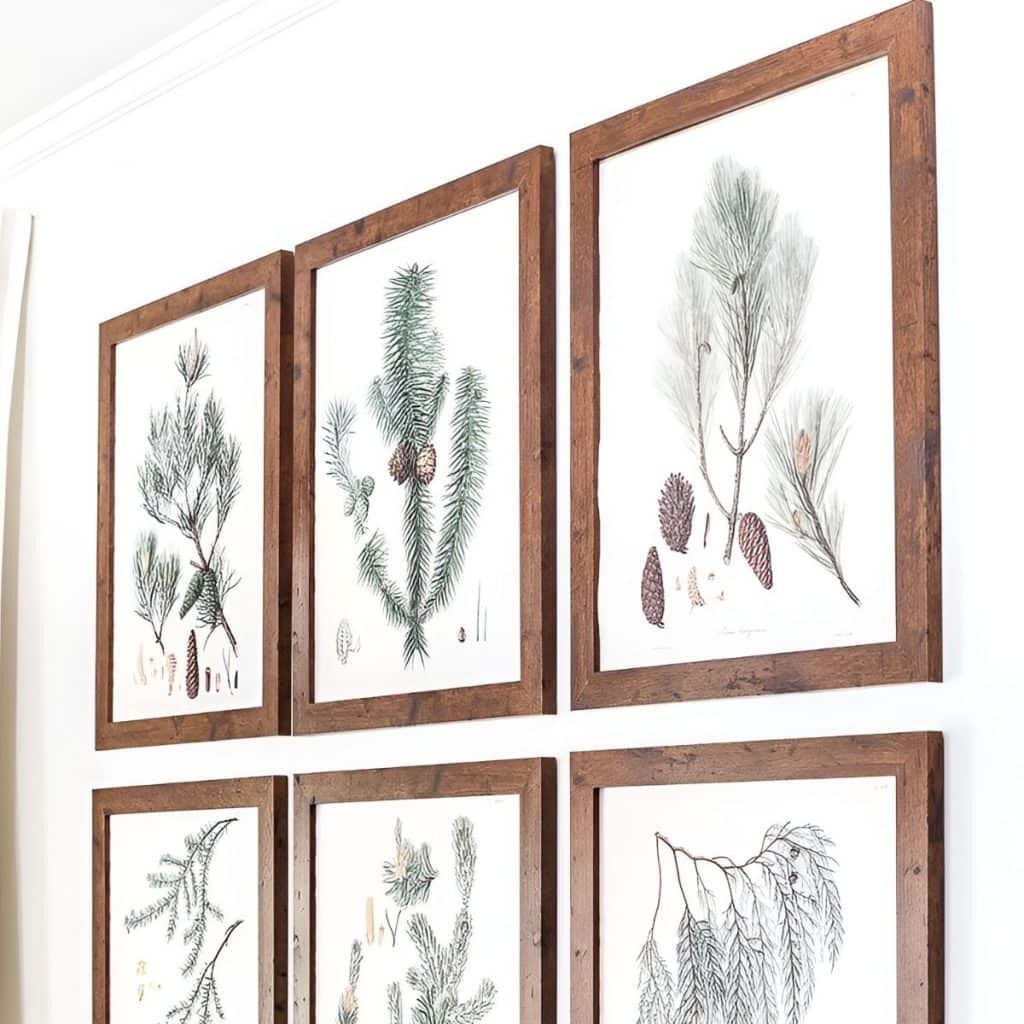 Botanical Prints Decor Ideas: Bringing Nature Indoors - The Shelfist.